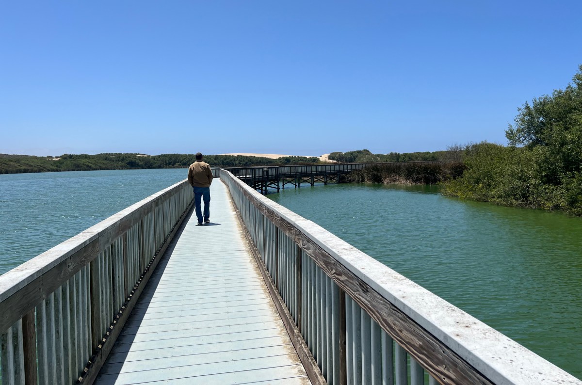 Therapeutic Services – Sound Mind Center